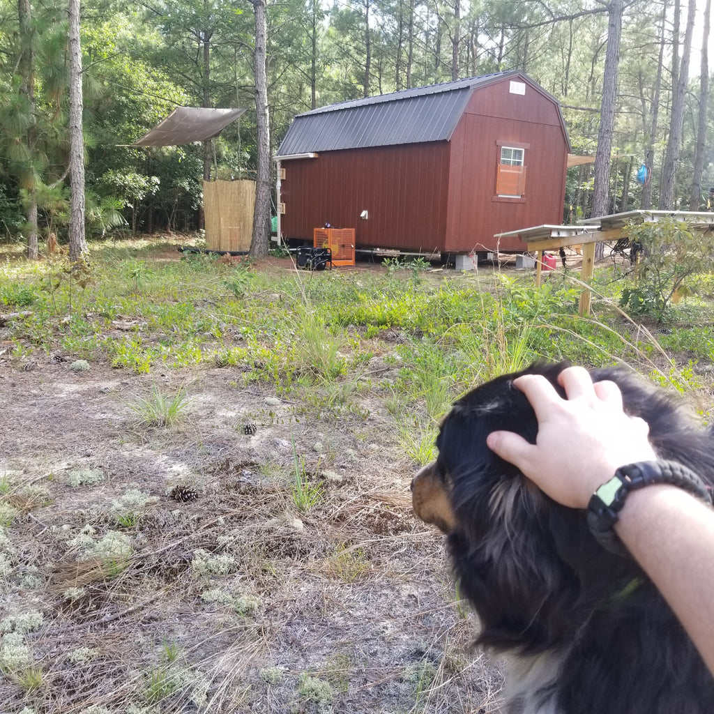 Outdoor Shower and Wood Floor Install, playing with the Breach Pen ...
