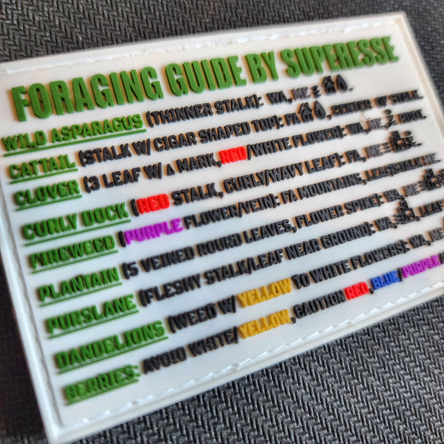 Storage Pocket Patch: "Foraging Guide", a Plants and Edibles Quick ...