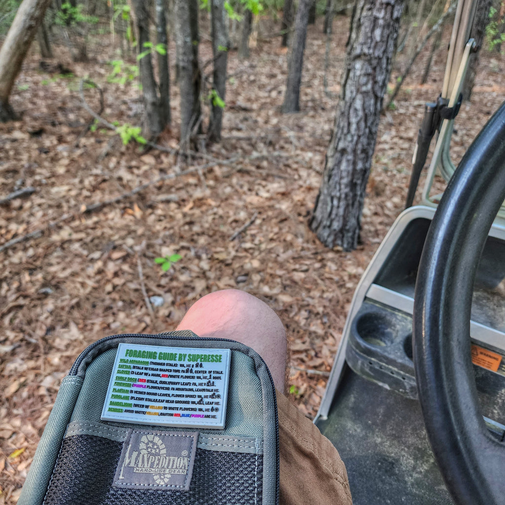 Storage Pocket Patch: "Foraging Guide", a Plants and Edibles Quick ...