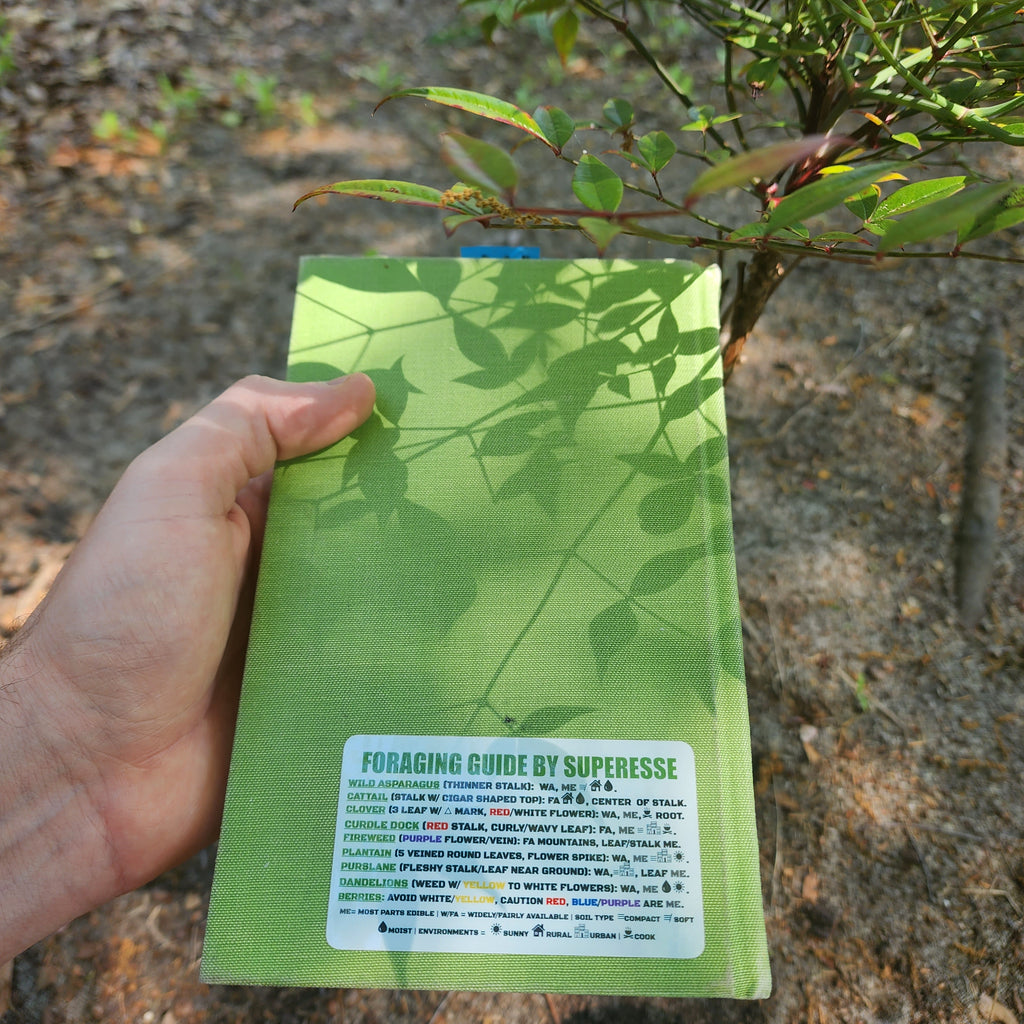 Foraging Guide Decal - Plants and Edibles Quick Identification ...